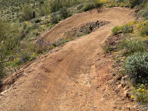 Hawes Trail System | Bike Rentals & Repair Near Mesa, AZ